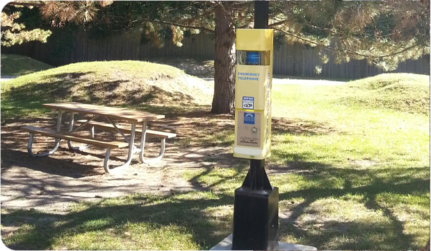 36in Wired Call Stations - Avire | USA